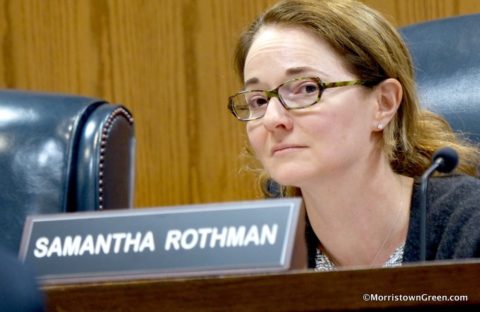 Morris Township appoints Samantha Rothman to replace Mark Gyorfy on ...